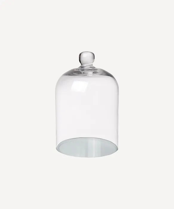French Country Small Glass Dome | Shop Decor at Morris et al